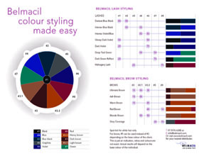 1260 - BELMACIL COLOUR WHEEL A3 - Ex-Import Pty Ltd.